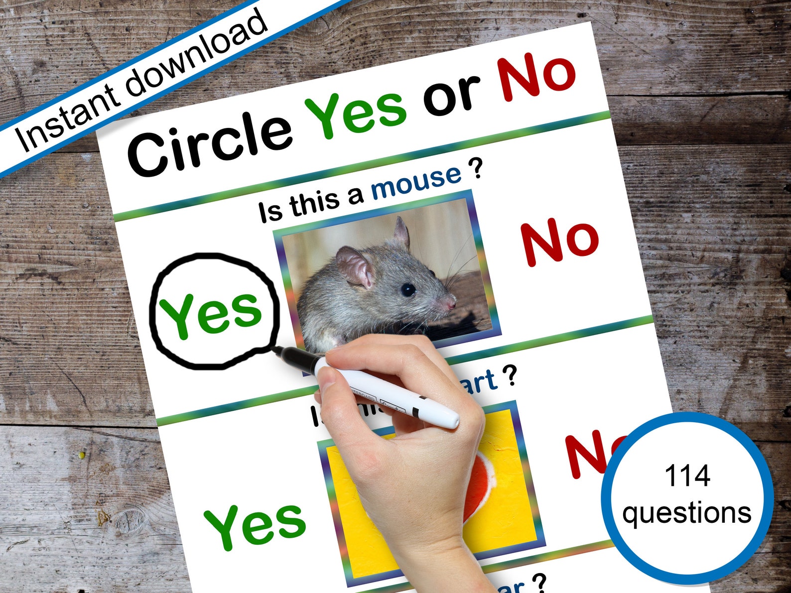 Yes or No Questions for Speech Therapy, Autism Activity, Non Verbal ...