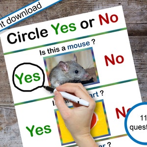 Yes or No Questions for Speech Therapy, Autism Activity, Non Verbal ...
