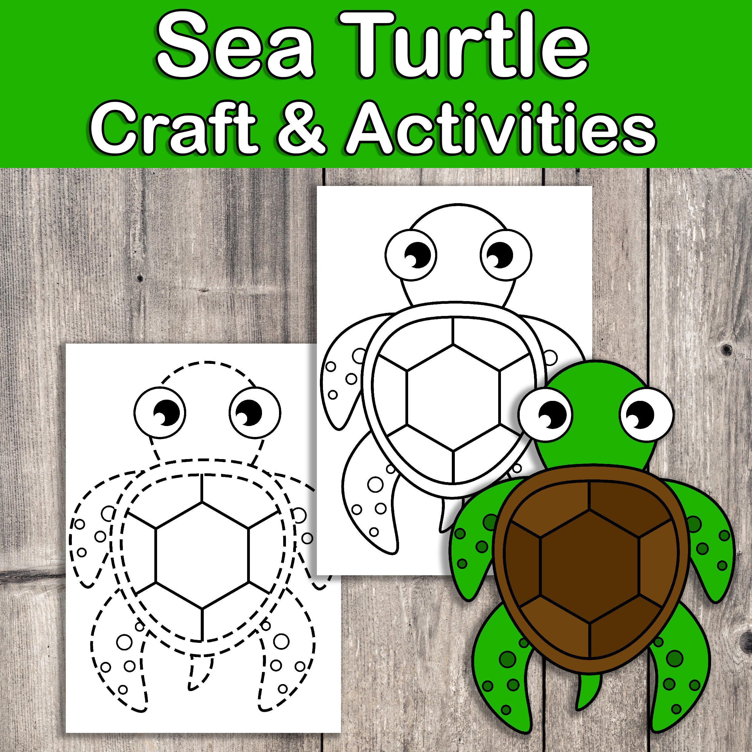 Sea Turtle Craft and Activities, Ocean Animals Activities, Homeschool ...