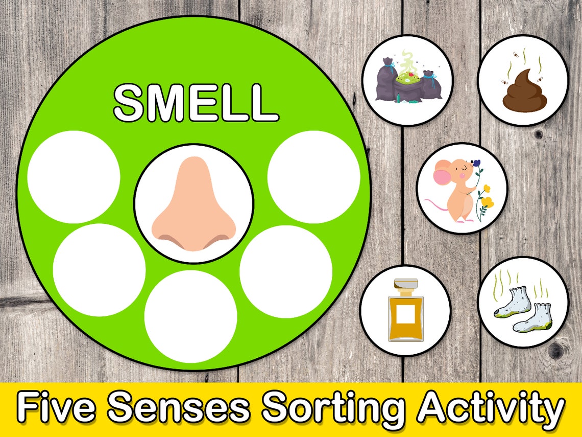 Five Senses Sorting Activity Printable, 5 Senses Sorting, Busy Book ...