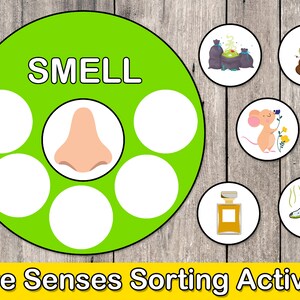 Five Senses Sorting Activity Printable, 5 Senses Sorting, Busy Book ...