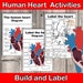 Label the Heart Poster, Human Heart Anatomy Craft, Build and Label ...
