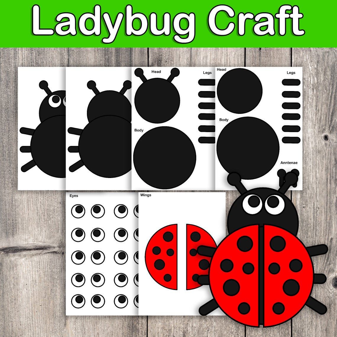 Ladybug Craft, Ladybug Life Cycle, Spring Craft Activity, Homeschool ...