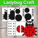Ladybug Craft, Ladybug Life Cycle, Spring Craft Activity, Homeschool ...