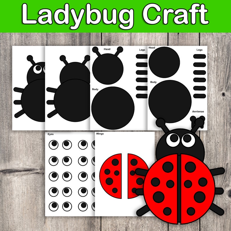 Ladybug Craft, Ladybug Life Cycle, Spring Craft Activity, Homeschool ...