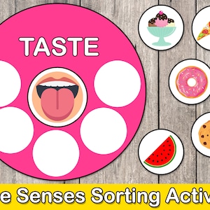 Five Senses Sorting Activity Printable, 5 Senses Sorting, Busy Book ...