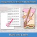 Build and Label the Integumentary System | Anatomy Worksheets | Skin ...