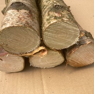 Decorative Birch Logs | Natural English Birch Wood | Rustic Craft ...