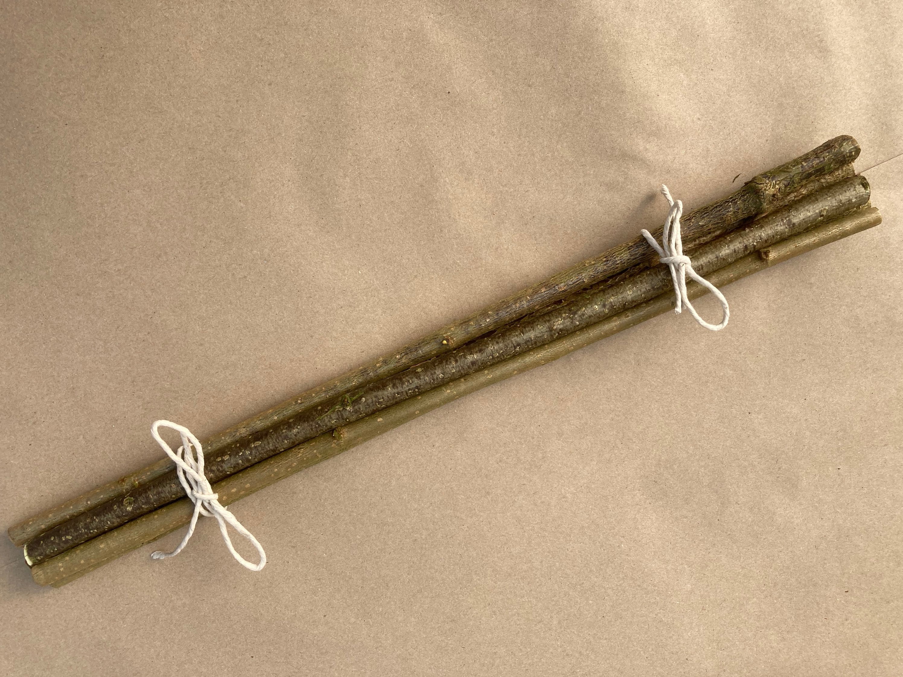Natural Hazel Wood Sticks | English Hazel Branches for Crafts, Wands ...