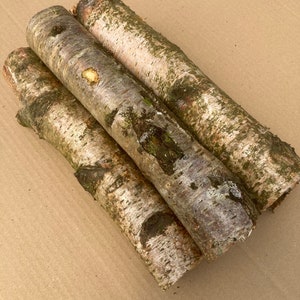Decorative Birch Logs | Natural English Birch Wood | Rustic Craft ...