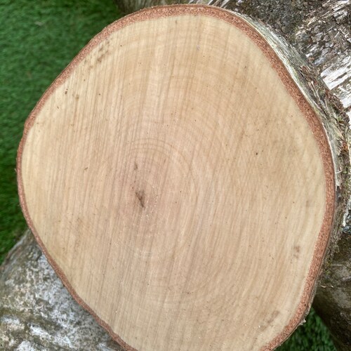 Natural Round Log Slices Rustic Green Wood Slice for Crafts - Etsy