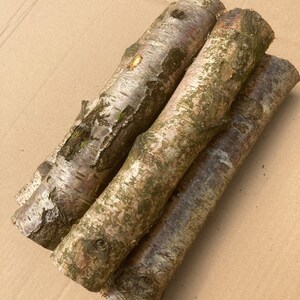 Decorative Birch Logs | Natural English Birch Wood | Rustic Craft ...