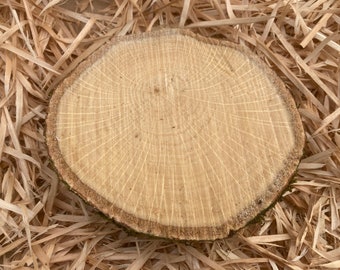 Natural Round Log Slices Rustic Green Wood Slice for Crafts - Etsy