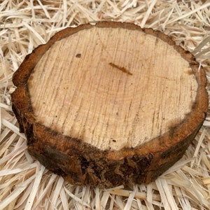 Natural Round Log Slices Rustic Green Wood Slice for Crafts Artists ...