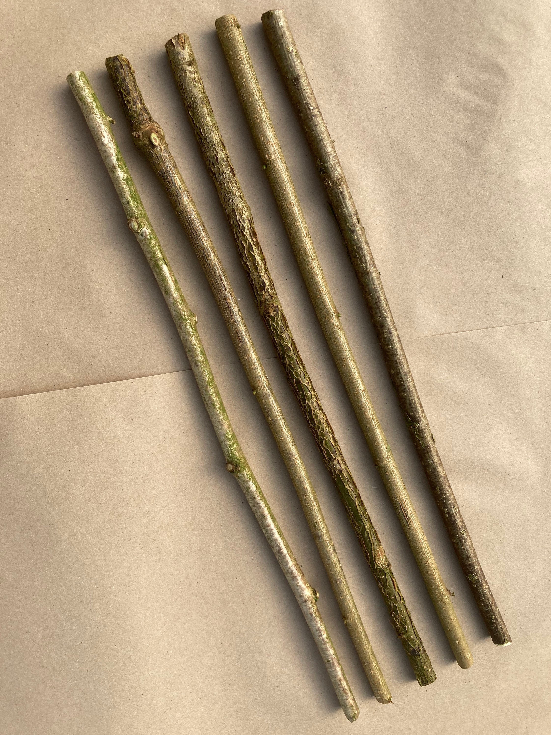 Natural English Hazel Sticks packs of 5 Wood Craft Art - Etsy UK