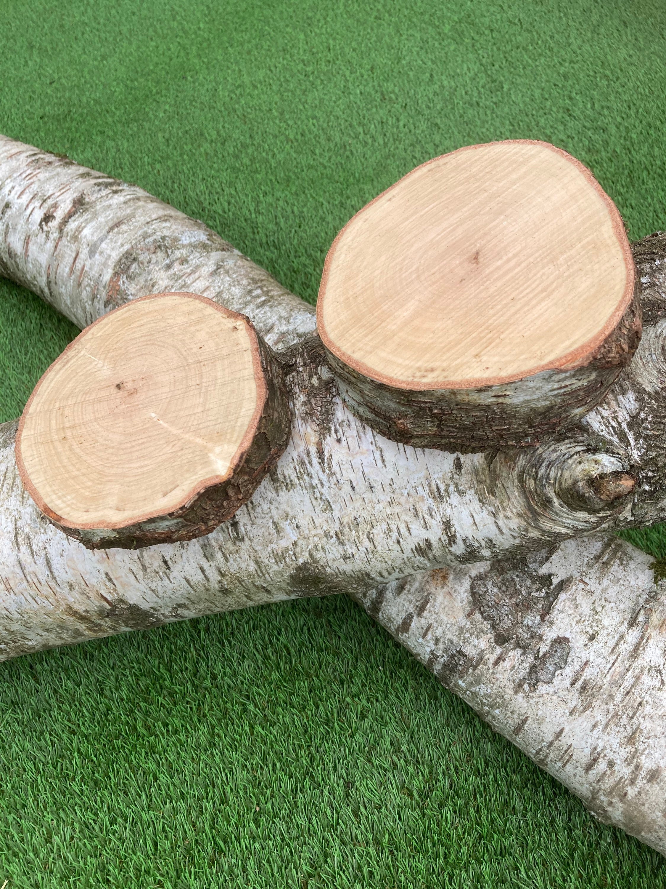 Natural Silver Birch Hardwood Round Log Slices Rustic Green Hard Wood ...