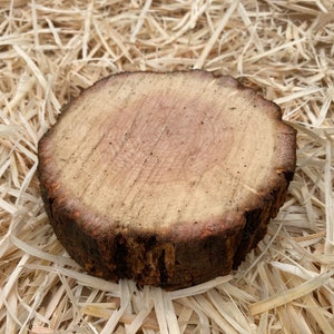 Natural Round Log Slices Rustic Green Wood Slice for Crafts Artists ...