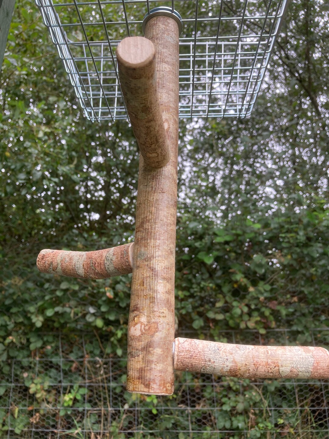 Natural Hand Crafted Top Hung/hanging Hazelnut Wood 3 Branch Pet Bird ...