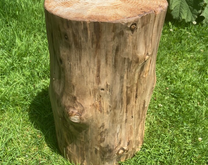 Natural Spruce Pine Tree Rustic Log Stump, Bark Removed, Make a Lovely ...