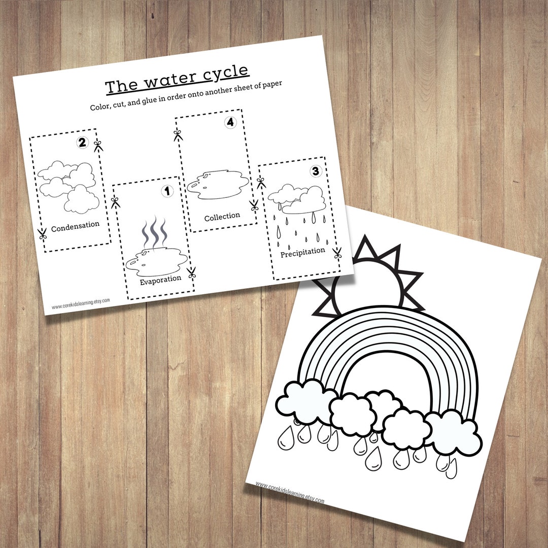 Water Cycle Color and Cut Project and Rainbow Color Page - Etsy