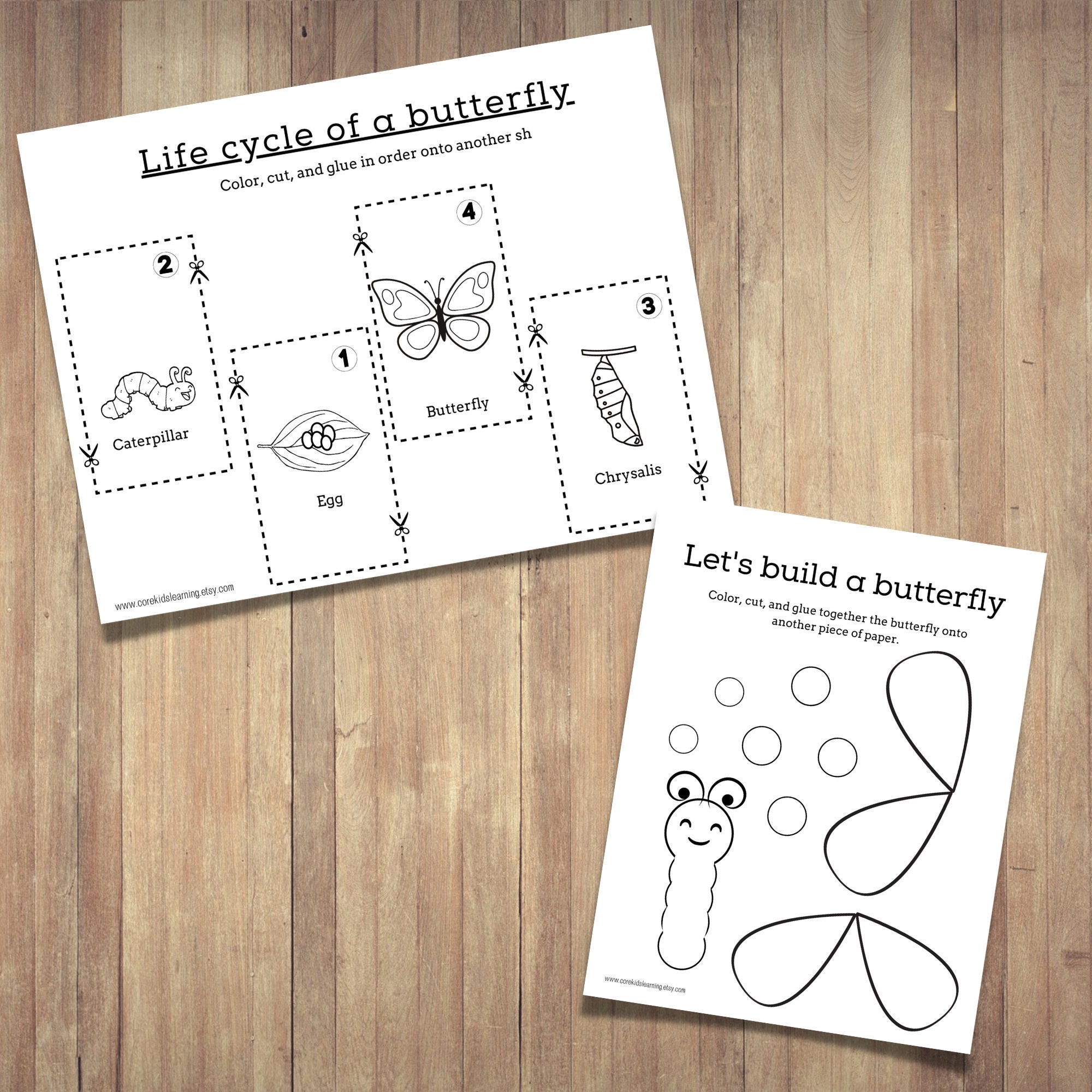 Build a Butterfly, and Life Cycle of a Butterfly, Color and Cut ...