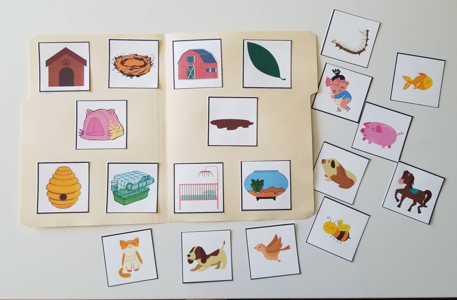 Where Do I Belong? Matching Game Printable - Etsy