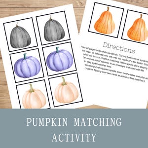Pumpkin Matching Printable Activity - Etsy Canada