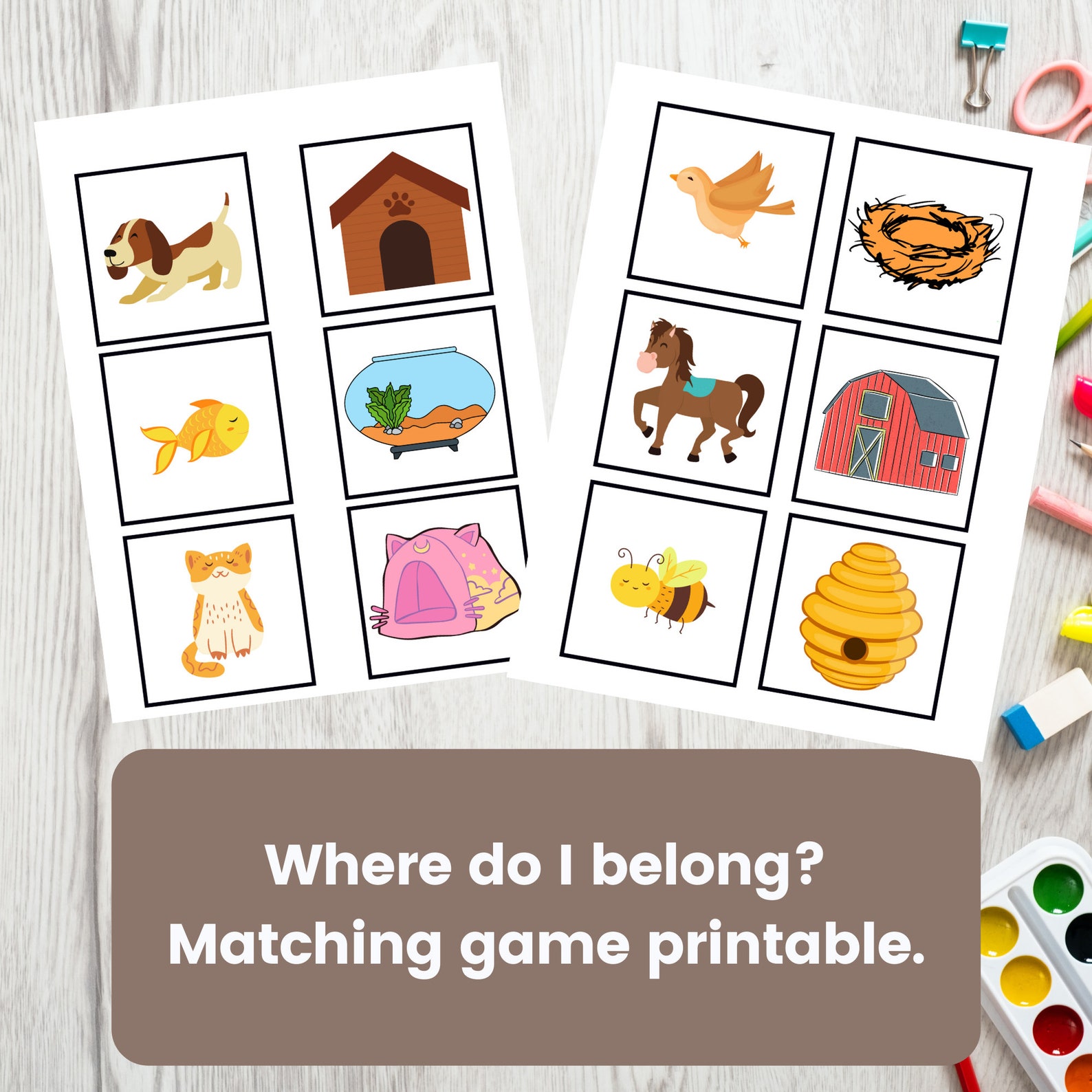 Where Do I Belong? Matching Game Printable - Etsy