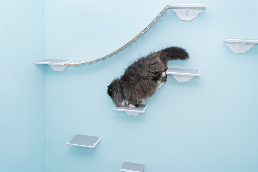 Cat Wall Steps, Pine Wood Cat Climbing Shelves (set of 2) - Etsy