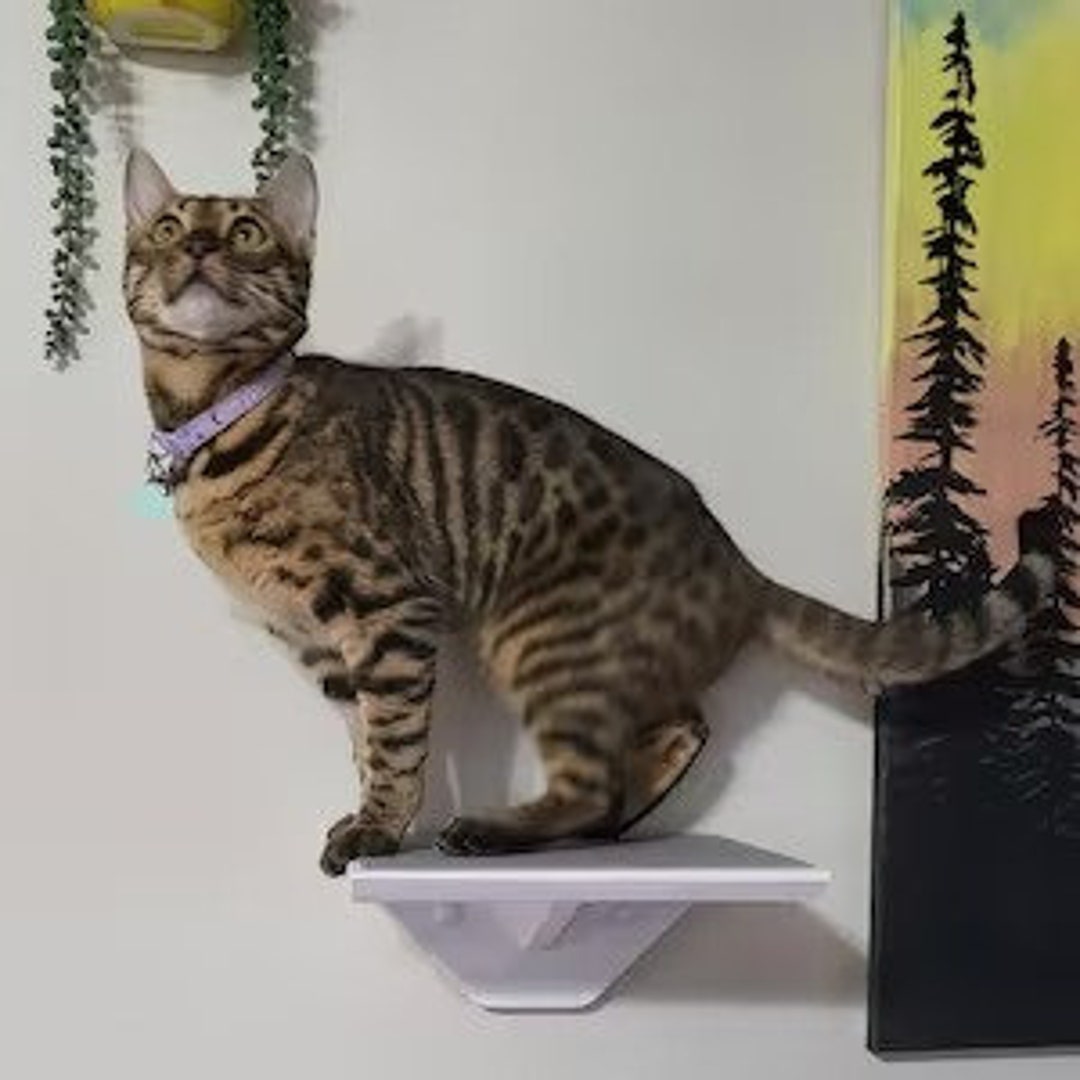 Cat Steps, Set 2 Psc, Cat Wall Furniture, Cat Climbing Wall Shelves ...