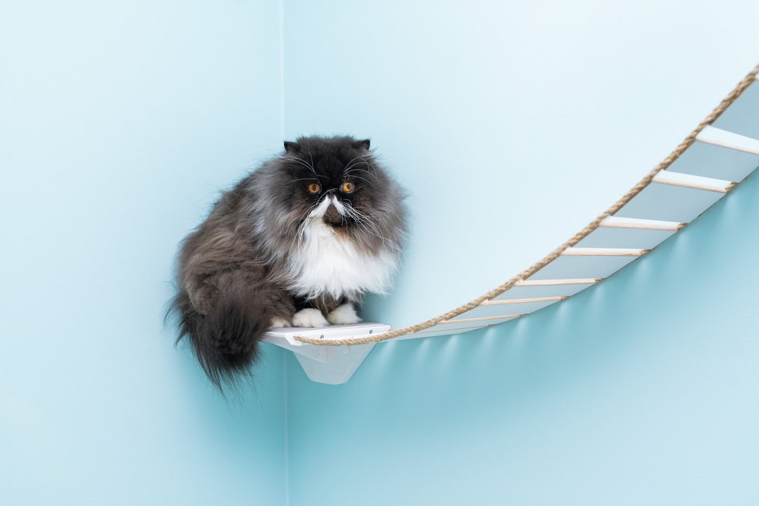Pine Wood Cat Bridge With Shelves | Wall Mounted Cat Furniture - Etsy