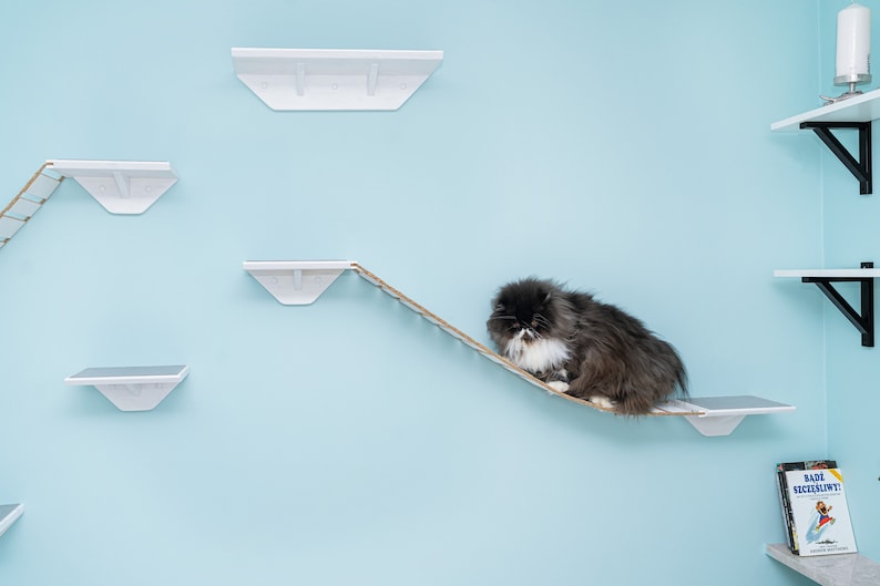 Cat Steps Set 3 Psc. Cat Walk Wall Cat Steps Cat Wall - Etsy