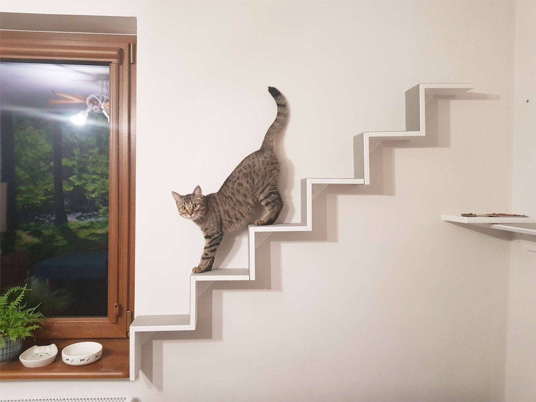 Cat Steps Set 3 Psc. Cat Walk Wall, Cat Steps, Cat Wall Furniture, Cat ...