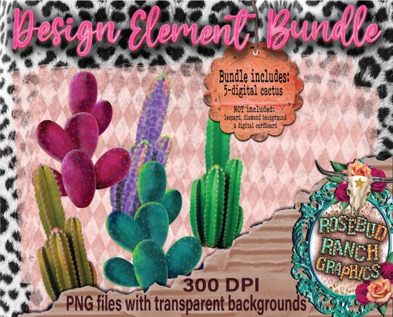 Cactus Design Elements PNG Transparent Background | Etsy