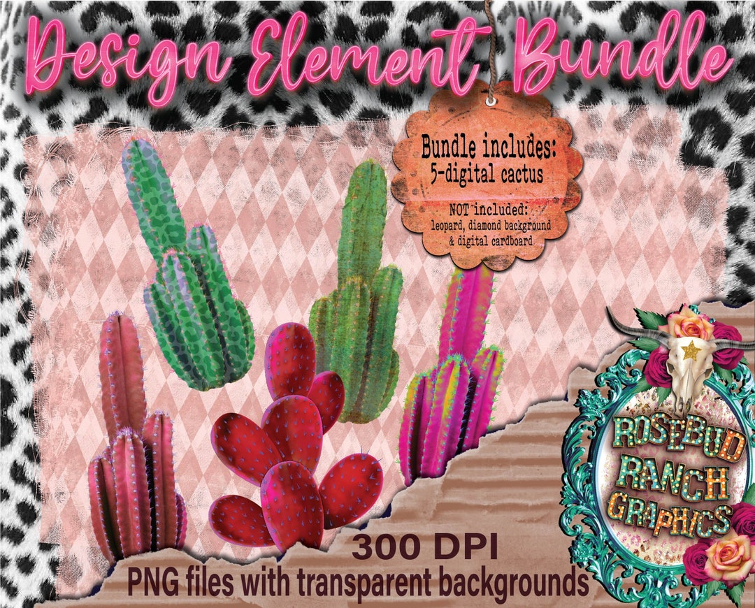 Cactus Design Bundle PNG - Etsy