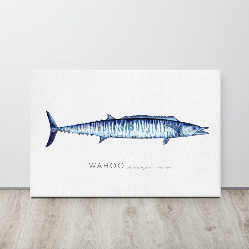 Wahoo Sportfish Watercolor Illustration - Fish, Gift, Canvas - Etsy