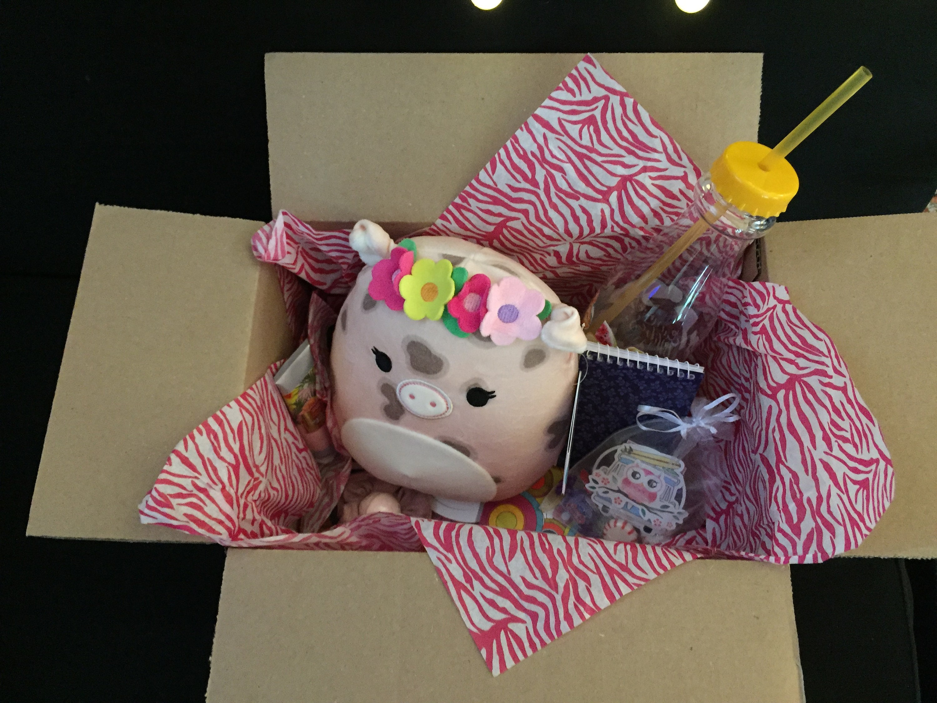 Squishmallow Mystery Box - Etsy