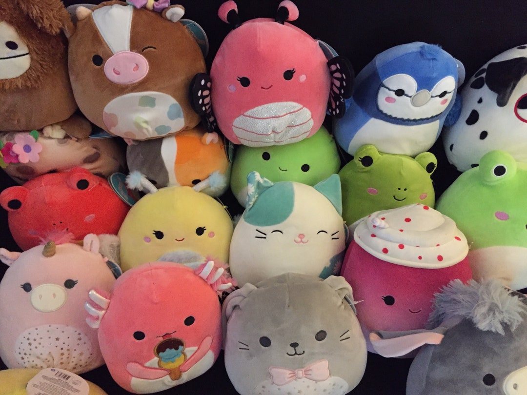 Squishmallow Mystery Box - Etsy