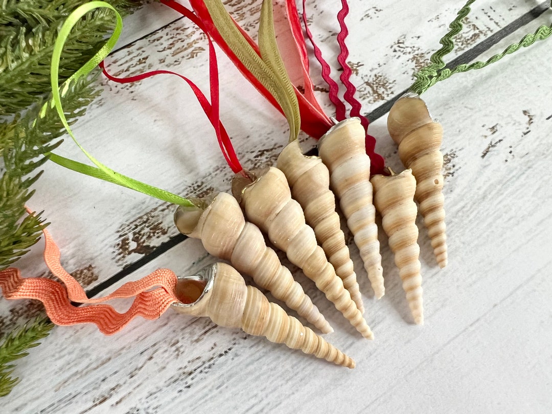 Hand Painted Shell Ornaments - Etsy