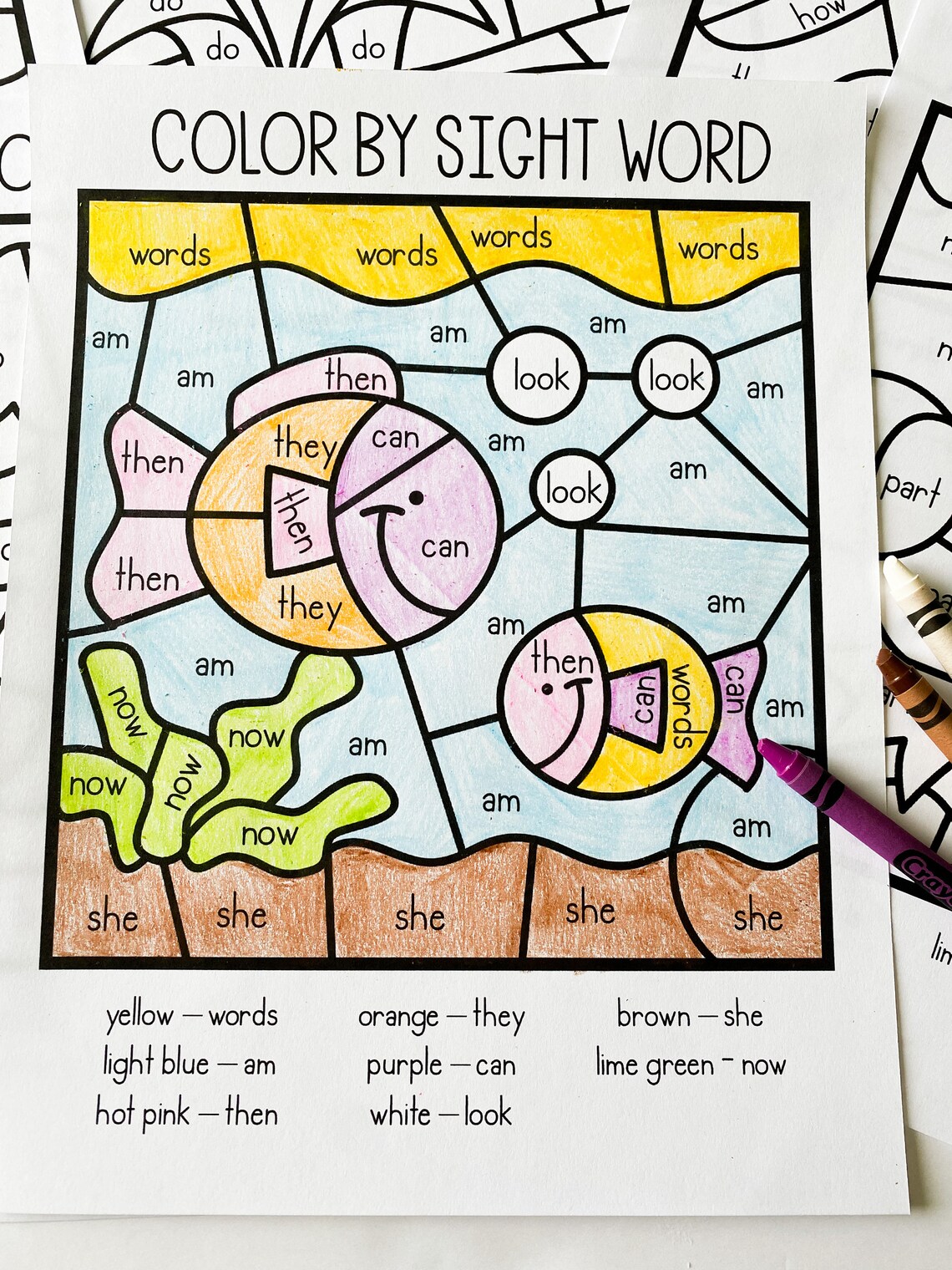 Pond Life Sight Word Color by Code for First & Second Grade, No Prep ...