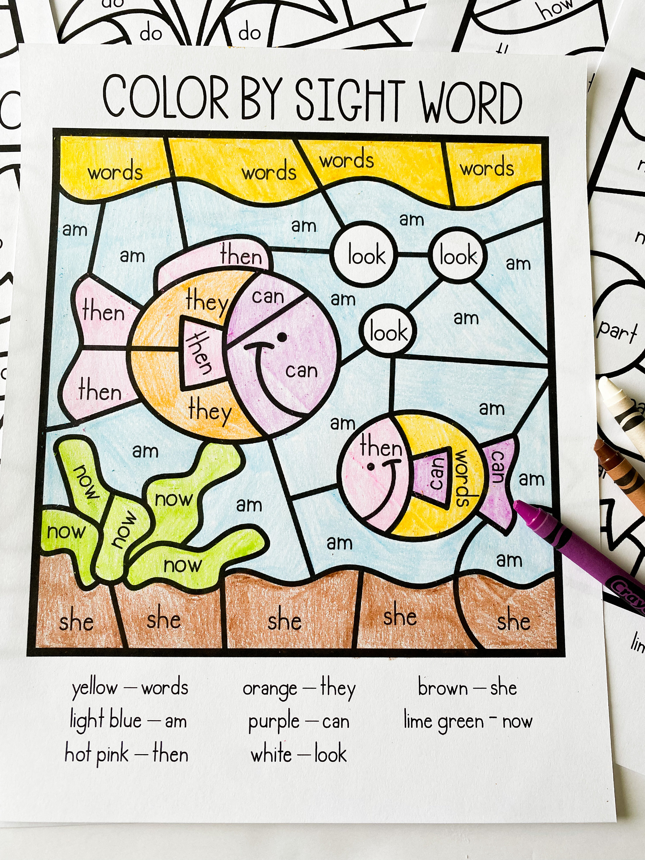 Pond Life Sight Word Color by Code for First & Second Grade, No Prep ...
