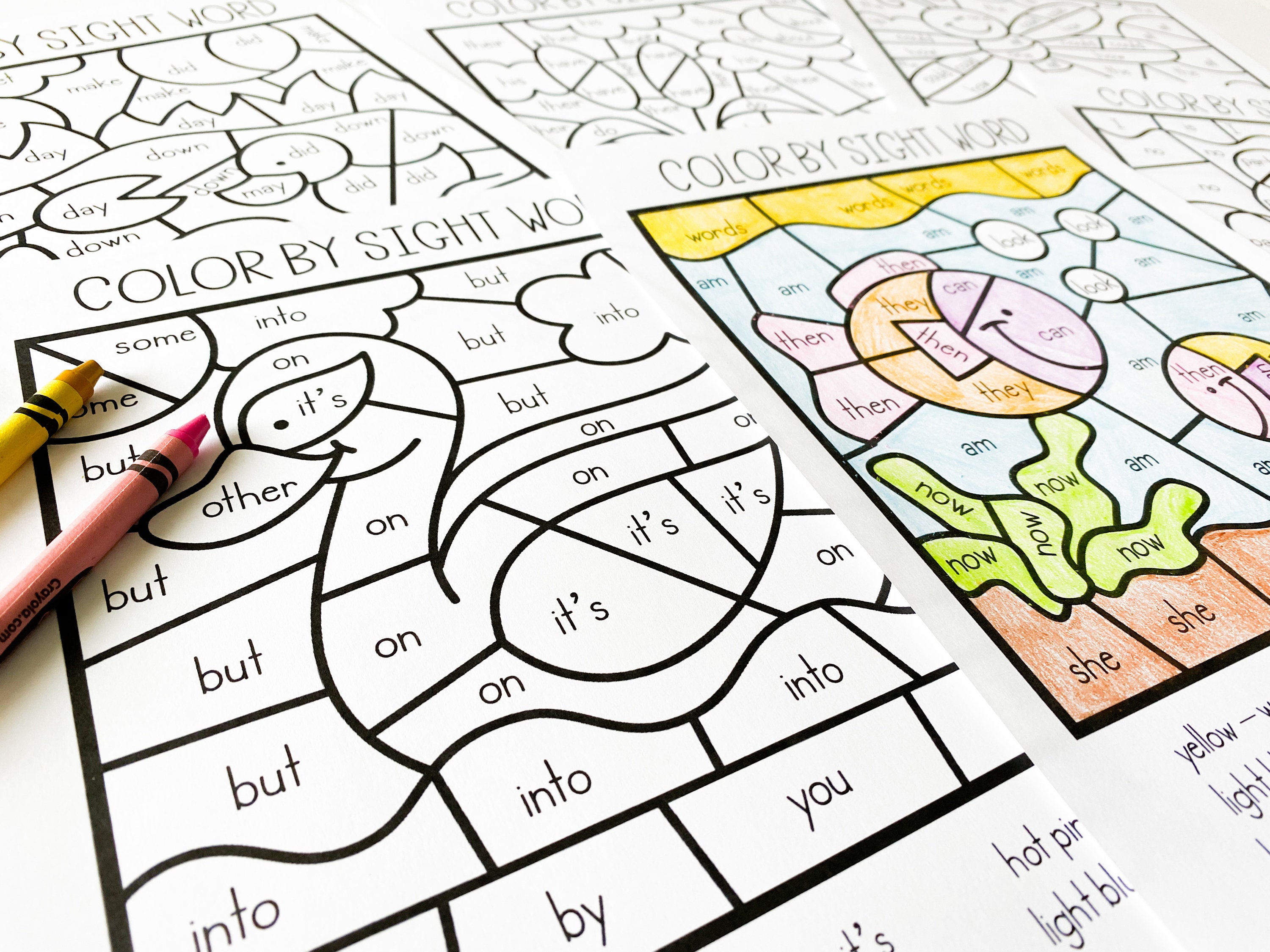 Pond Life Sight Word Color by Code for First & Second Grade, No Prep ...