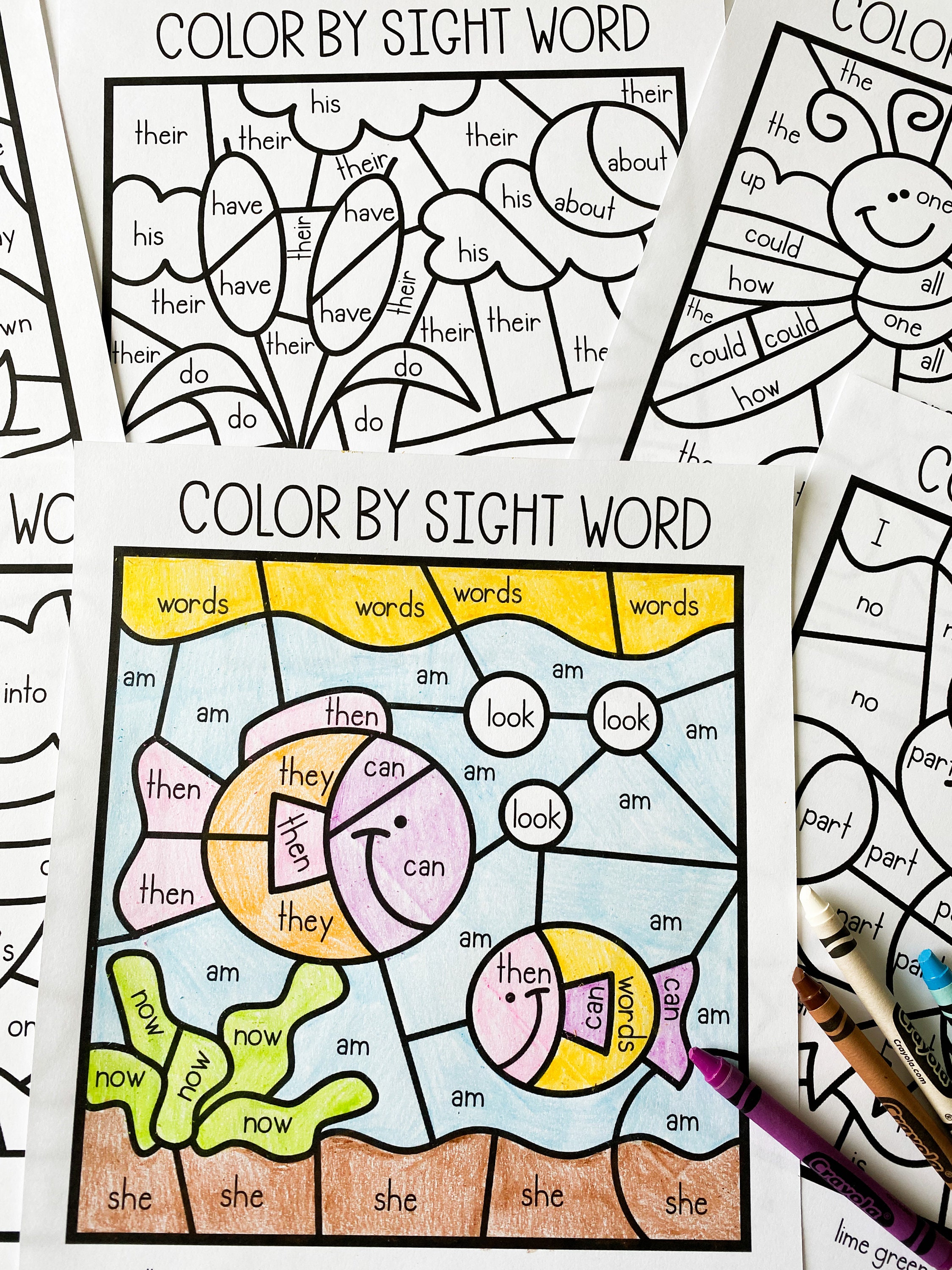 Pond Life Sight Word Color by Code for First & Second Grade, No Prep ...