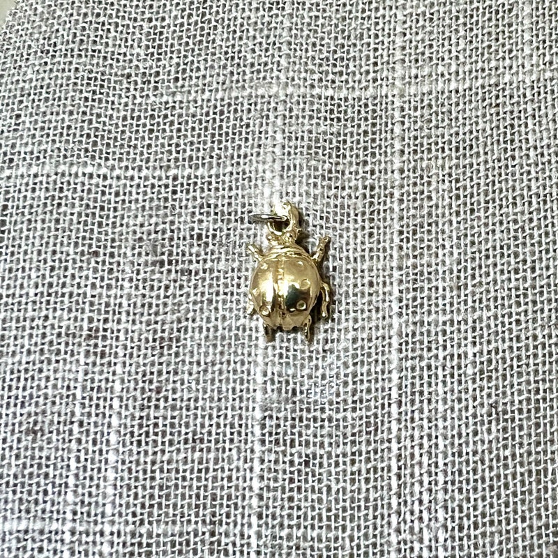 Yellow Ladybug - Etsy