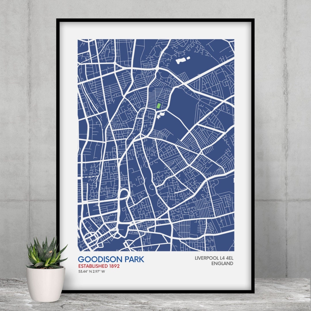 Everton Gift for Football Fan Everton Wall Art Football Fan Everton Fan ...