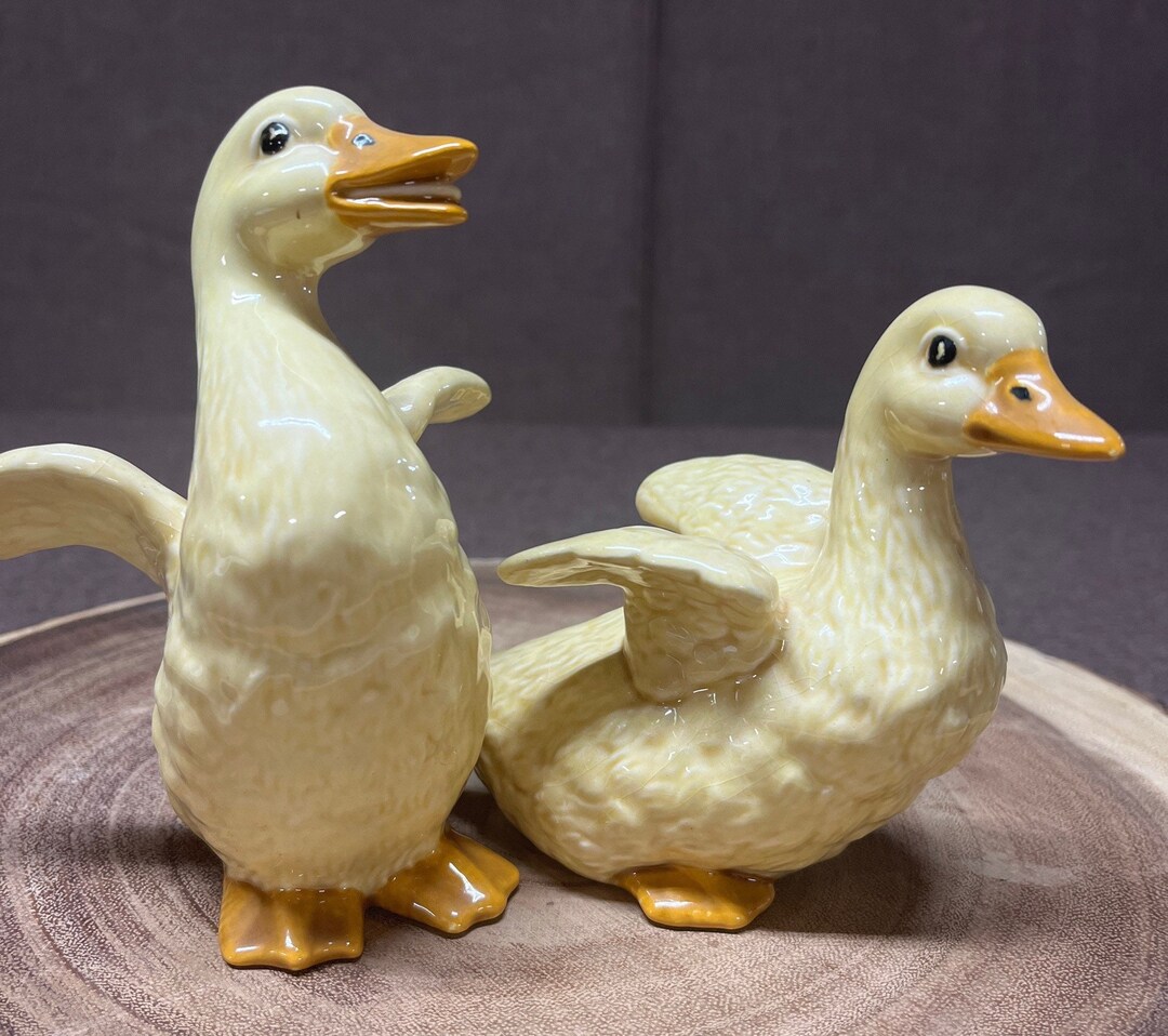 Quack Quack Adorable Pair of Silly Little Duckings - Etsy