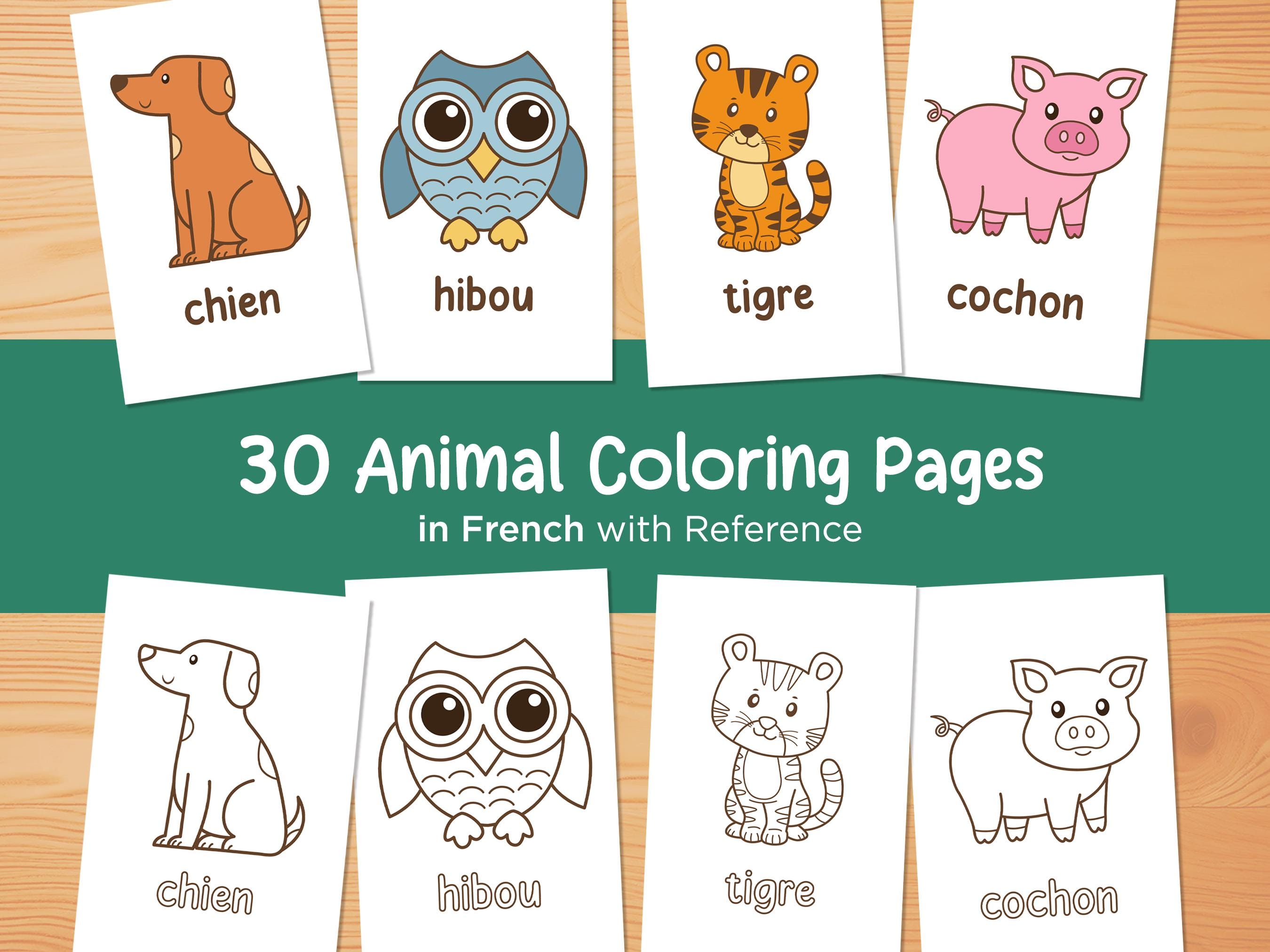 Animal Coloring in French, Coloring Worksheet for Kids, Animal ...