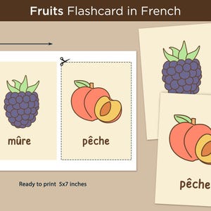 Fruits Flashcards, Montessori Materials French Printable, French ...