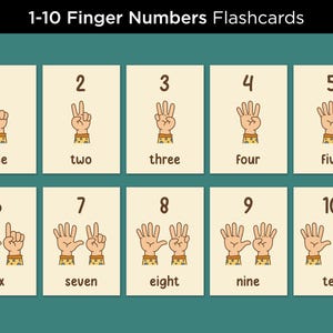 Finger Counting Number Flash Cards, Homeschool Printable (PDF) - Etsy