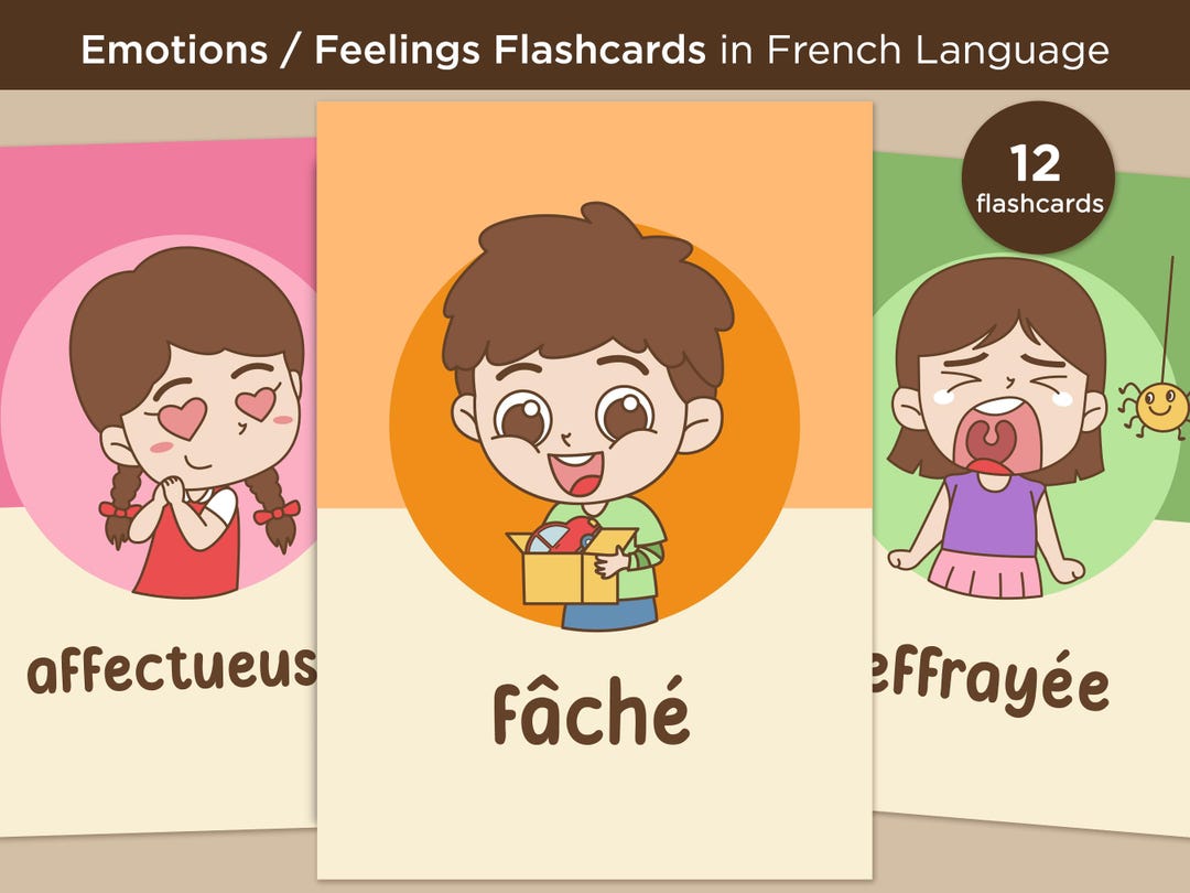 Emotions in French Flashcards, Feelings Flashcards, Printable Learning ...